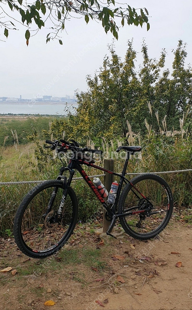 엘파마 페이스MTB 29인치 XT12단 XL싸이즈 | 중고나라 카페에서 운영하는 공식 사이트