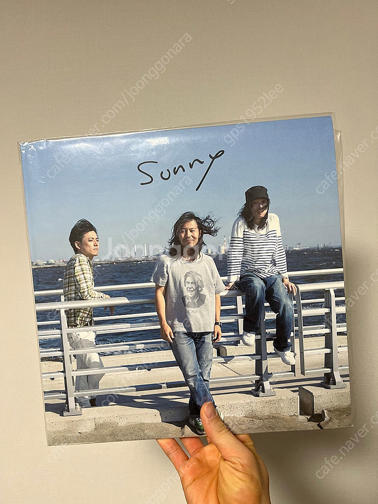 서니데이서비스 sunny day service sunny lp | 중고나라 - 안심되는 중고거래