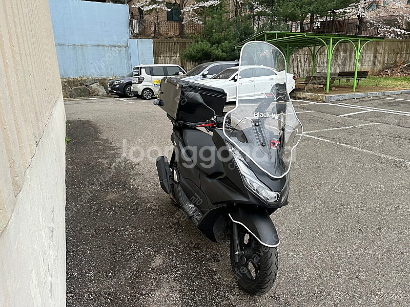 22년식 pcx판매합니다 | 중고나라 카페에서 운영하는 공식 사이트