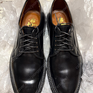 알든 9901 중고거래 | 중고나라 카페에서 운영하는 공식 사이트