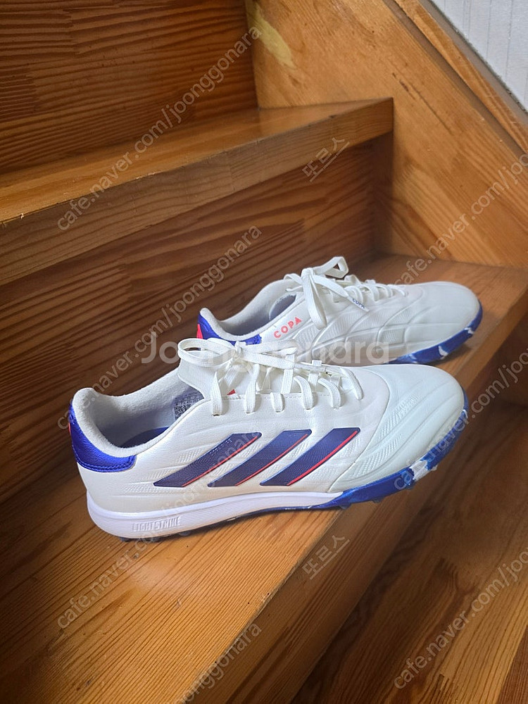 아디다스 코파 퓨어2 엘리트 tf 260 풋살화 | 중고나라 - 안심되는 중고거래