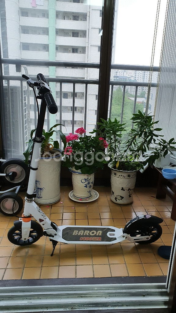 접이식 수동킥보드 (baron scooter) | 기타 스포츠 | 중고나라