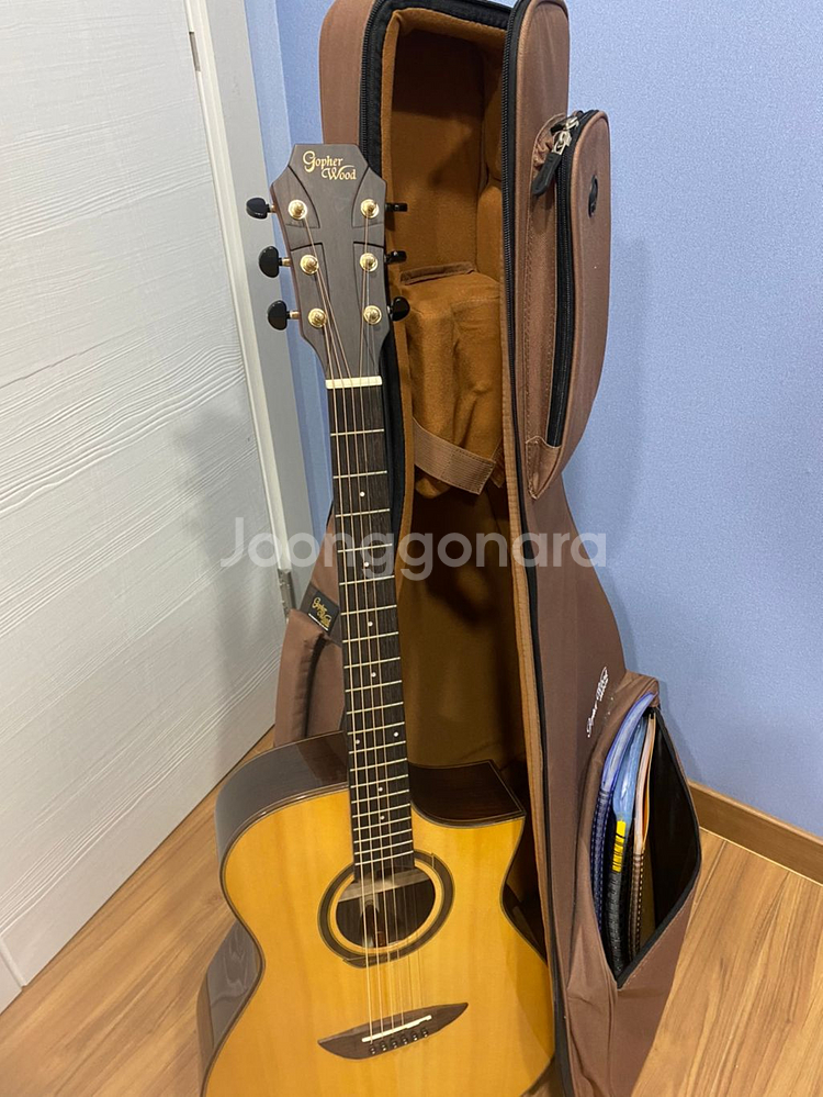 고퍼우드 g520 판매합니다. | 현악기 | 중고나라