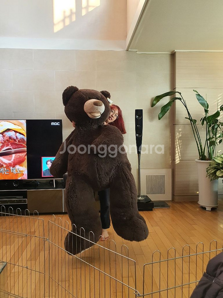 코스트코 대형 곰인형 인형디즈니의상 중고나라