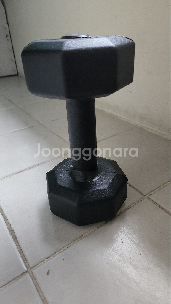 아령 3kg, 6kg | 헬스기구 | 중고나라