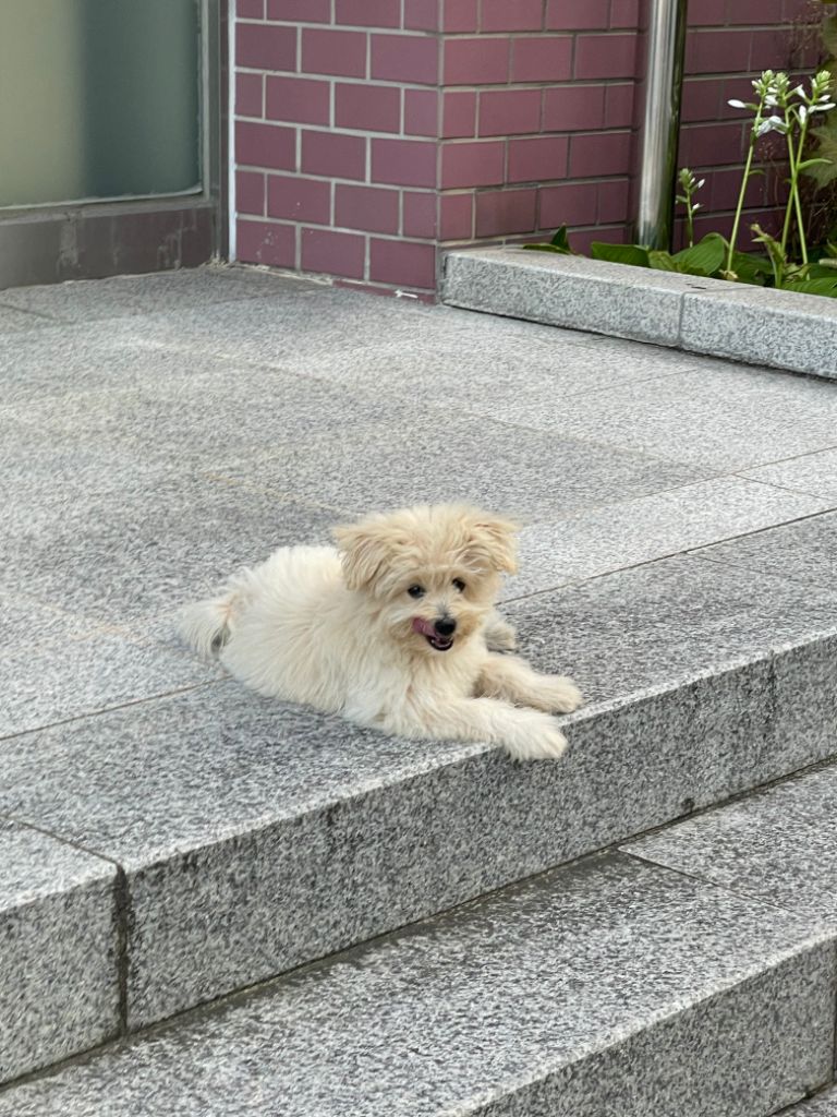 중고나라 카페에서 운영하는 공식 사이트