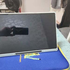 갤럭시탭s8울트라 5G 256G | 태블릿PC | 중고나라