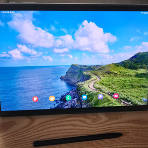 갤럭시탭s8+5g 128 | 삼성 | 중고나라