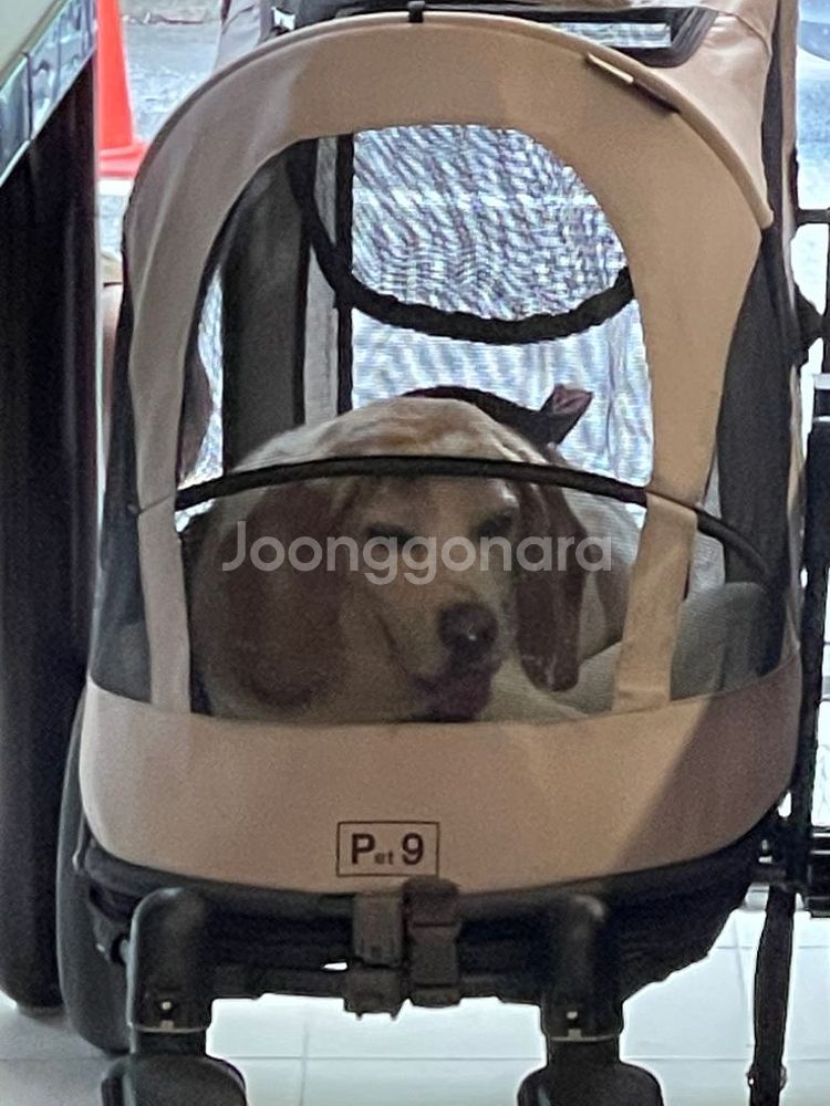 부자로스터기b30s 구해봅니다 | 기타 가전제품 | 중고나라