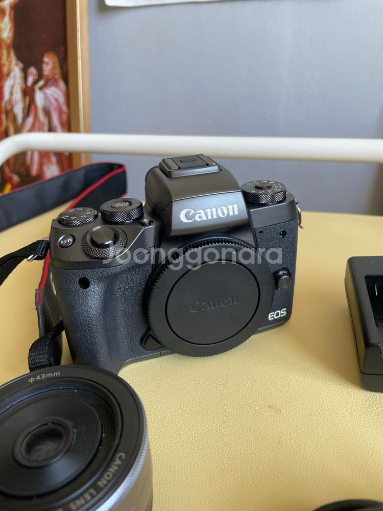 캐논 eos M5 | DSLR | 중고나라