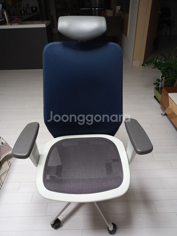 듀오백의자, Q1-W AIRO 블루라셀Q1블루 | 학생/서재/사무용가구 | 중고나라