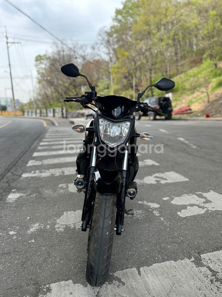 티투스250 | 125cc 초과 | 중고나라