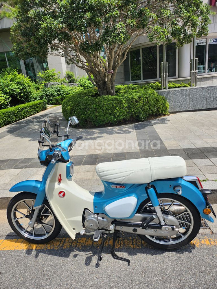 혼다 슈퍼커브 c125 | 125cc 이하 | 중고나라