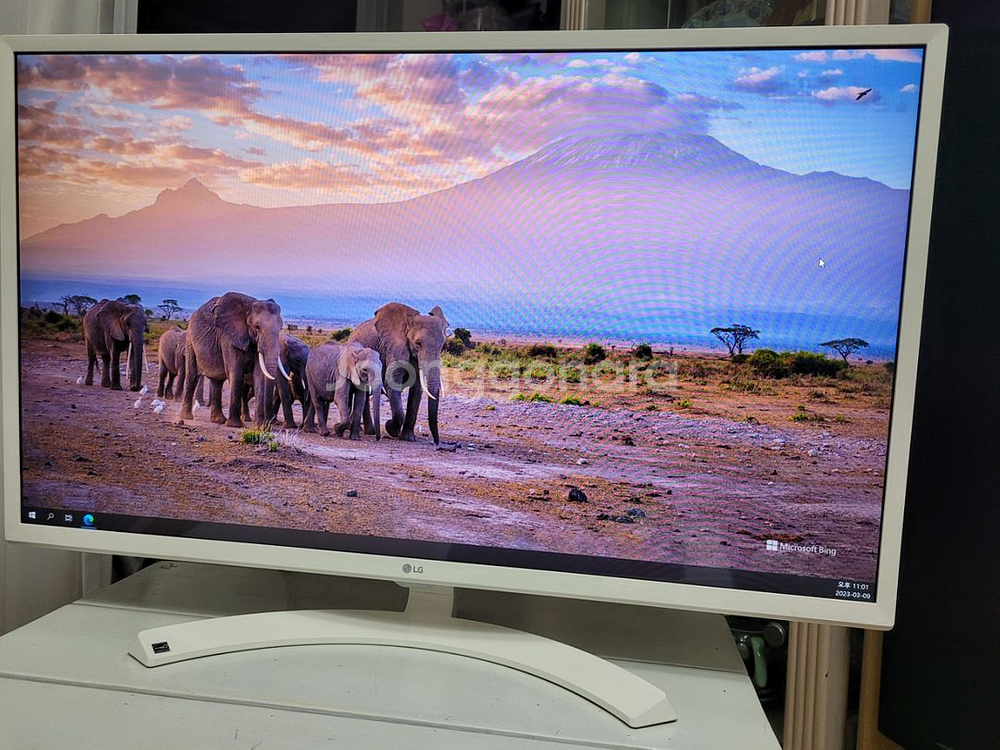 LG(32MN58HMW) IPS 32인치 모니터 겸TV | 모니터 | 중고나라