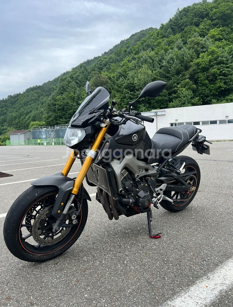 2014 mt09 떼르니 풀배기 가격인하 마지막 | 125cc 초과 | 중고나라