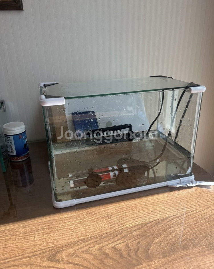 수조+레이저백 거북이+사료 | 관상어용품 | 중고나라