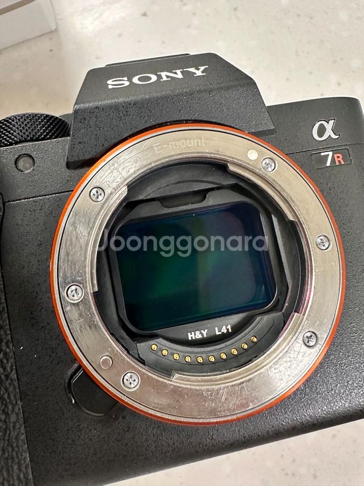 소니 A7R4 | 미러리스 | 중고나라