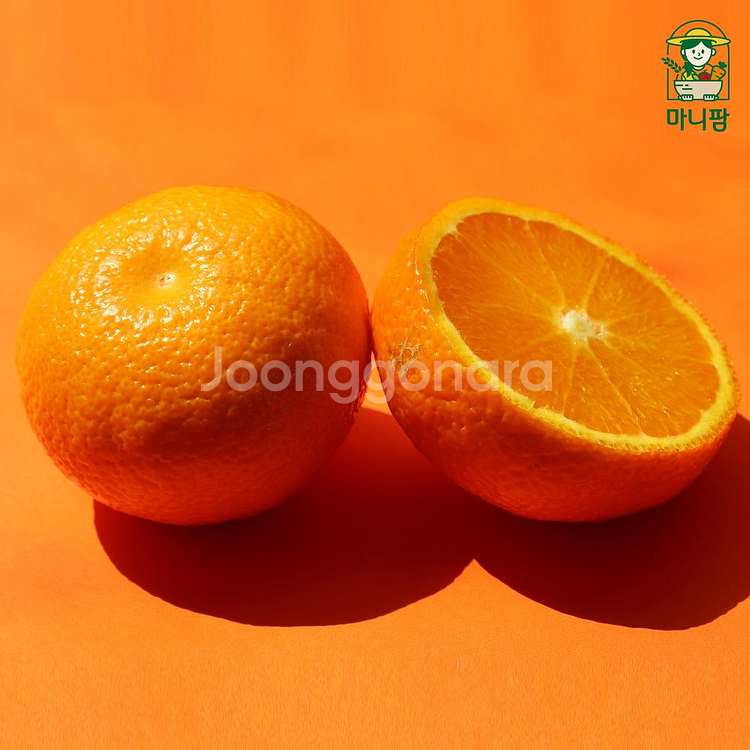[타이벡 감귤]제주 감귤 로얄과(2S-S-M) 10kg | 식품 | 중고나라