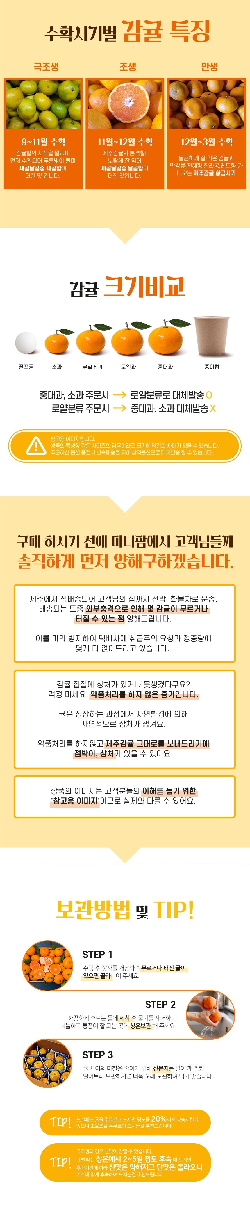 [타이벡 감귤]제주 감귤 로얄과(2S-S-M) 5kg | 식품 | 중고나라