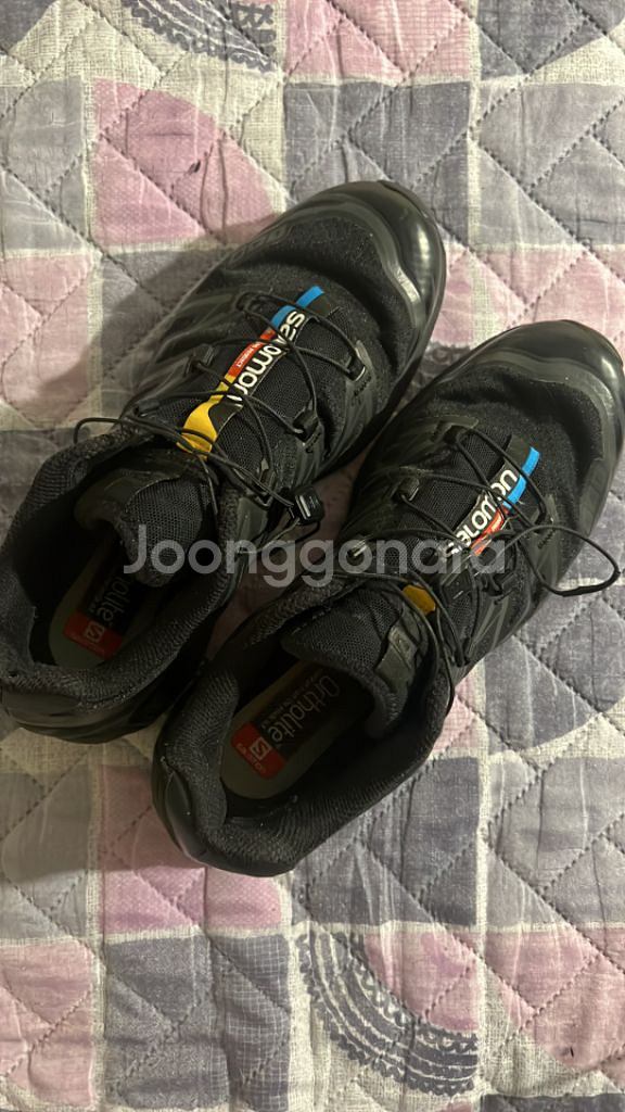 살라몬 xt6 260 판매 | 런닝화/워킹화 | 중고나라