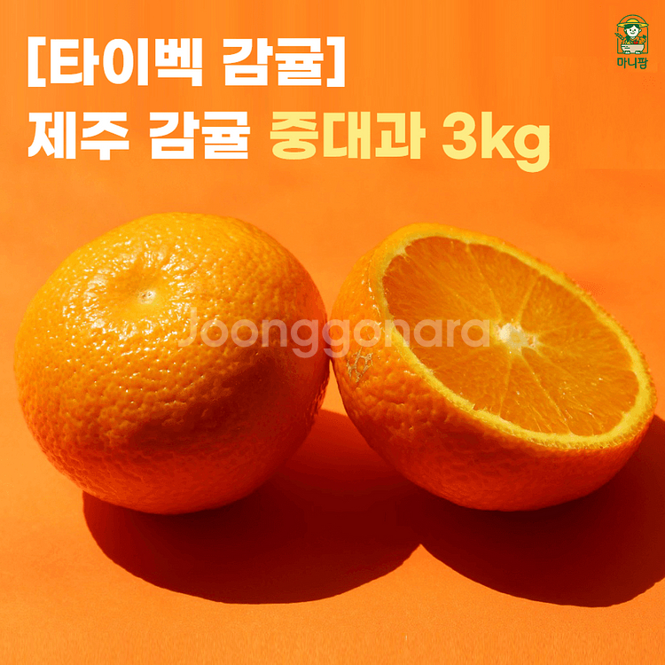 [타이벡 감귤]제주 감귤 중대과(L-2L) 3kg | 식품 | 중고나라