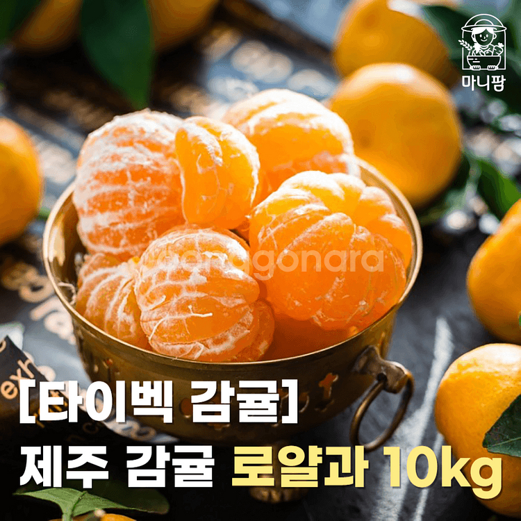 [타이벡 감귤]제주 감귤 로얄과(2S-S-M) 10kg | 식품 | 중고나라