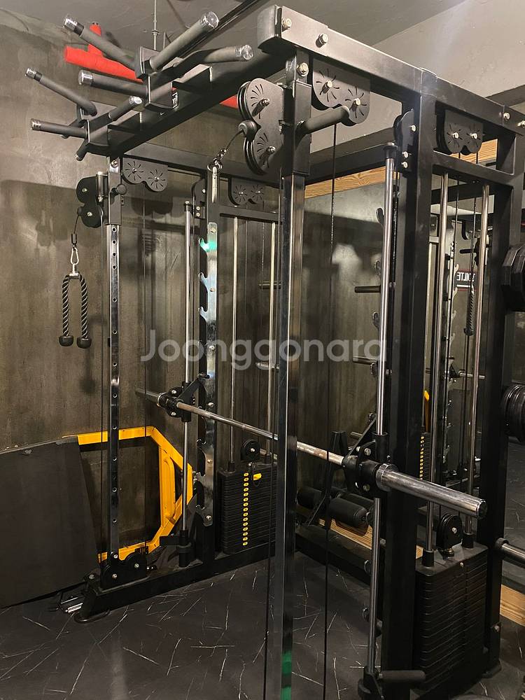 듀얼 스미스머신 파워렉 판매합니다 헬스용품 중고나라