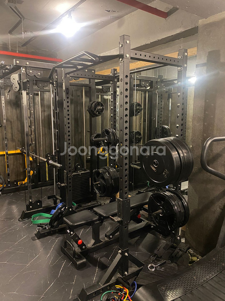 듀얼 스미스머신 파워렉 판매합니다 헬스용품 중고나라