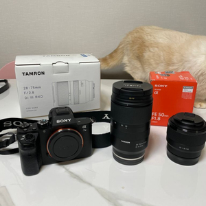 A7M2 중고거래 | 중고나라 카페에서 운영하는 공식 사이트