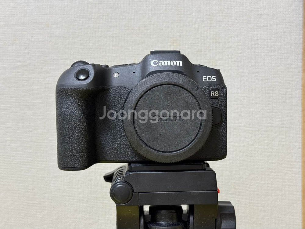 Canon EOS R8 캐논 | 중고나라 카페에서 운영하는 공식 사이트