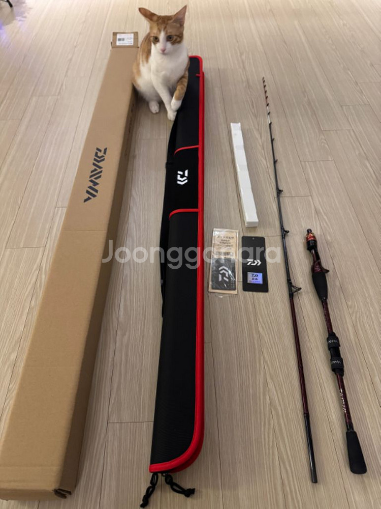 다이와 쿄쿠에이 타코이카 EX AGS 165H | 중고나라 카페에서 운영하는 공식 사이트