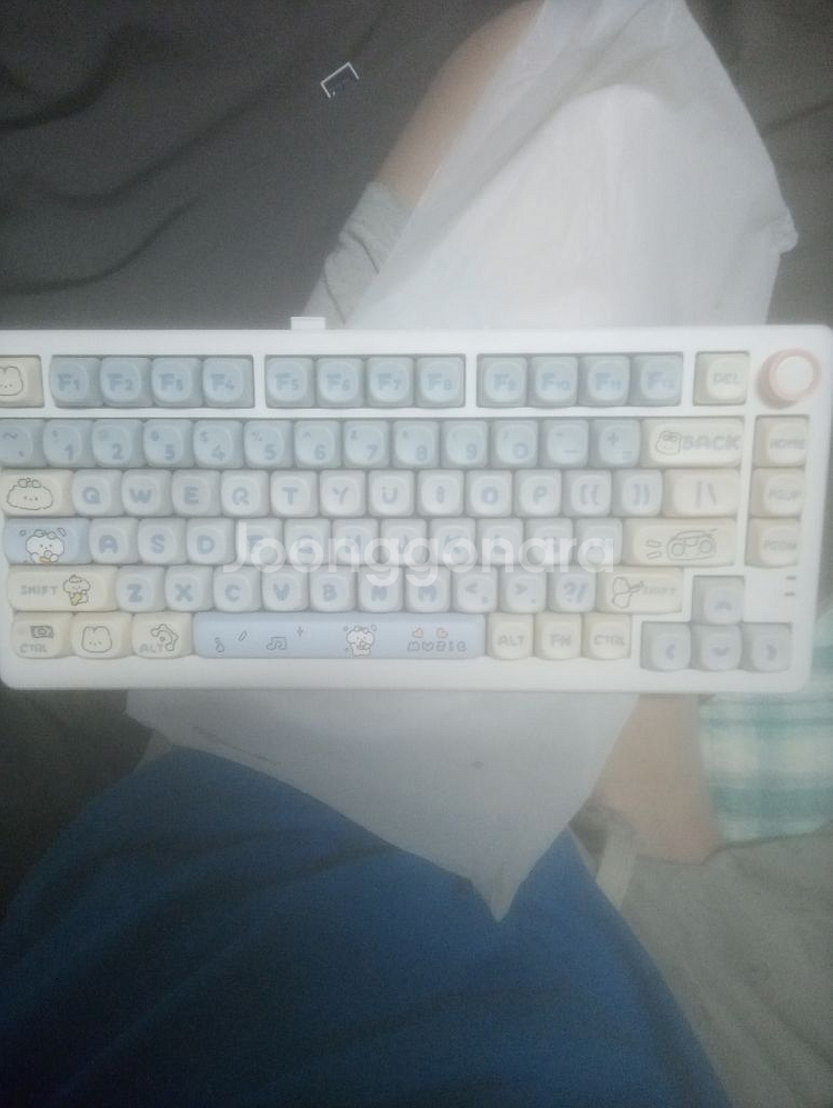 큐센Q75 풀윤활 기계식 PBT 퍼플축 팝니다 | 중고나라 카페에서 운영하는 공식 사이트