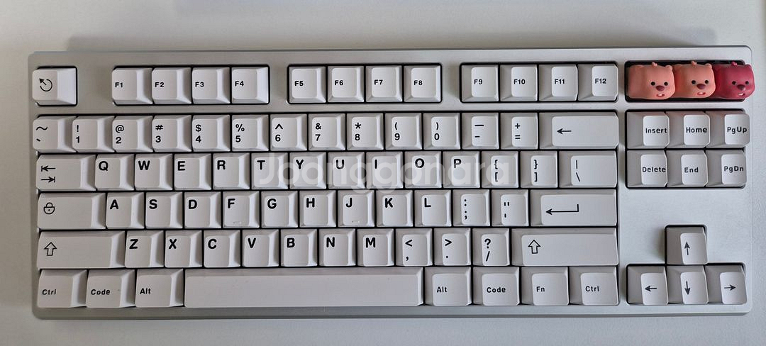 frog tkl venom 87he (상구리 베놈) | 중고나라 카페에서 운영하는 공식 사이트