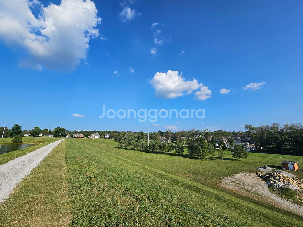 SKT 2기가 3,000원 팔아요 | 중고나라 카페에서 운영하는 공식 사이트