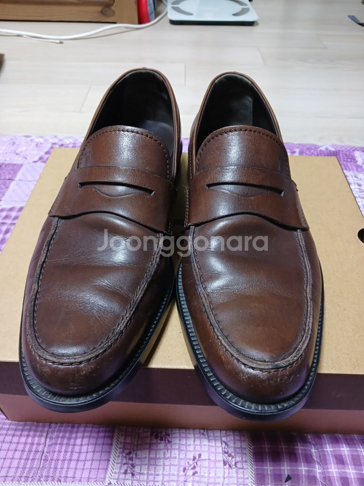 토즈슈즈(UK7.5, 265mm) | 중고나라 카페에서 운영하는 공식 사이트