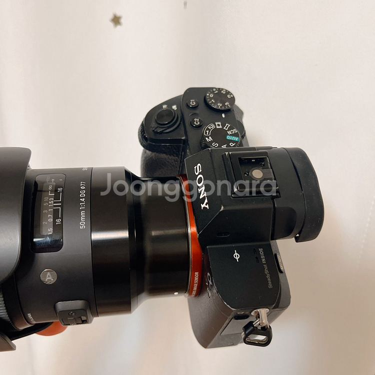 A7M2 + 50mm 1.4 dgdn 아트오식이 팝니다 | 중고나라 - 안심되는 중고거래