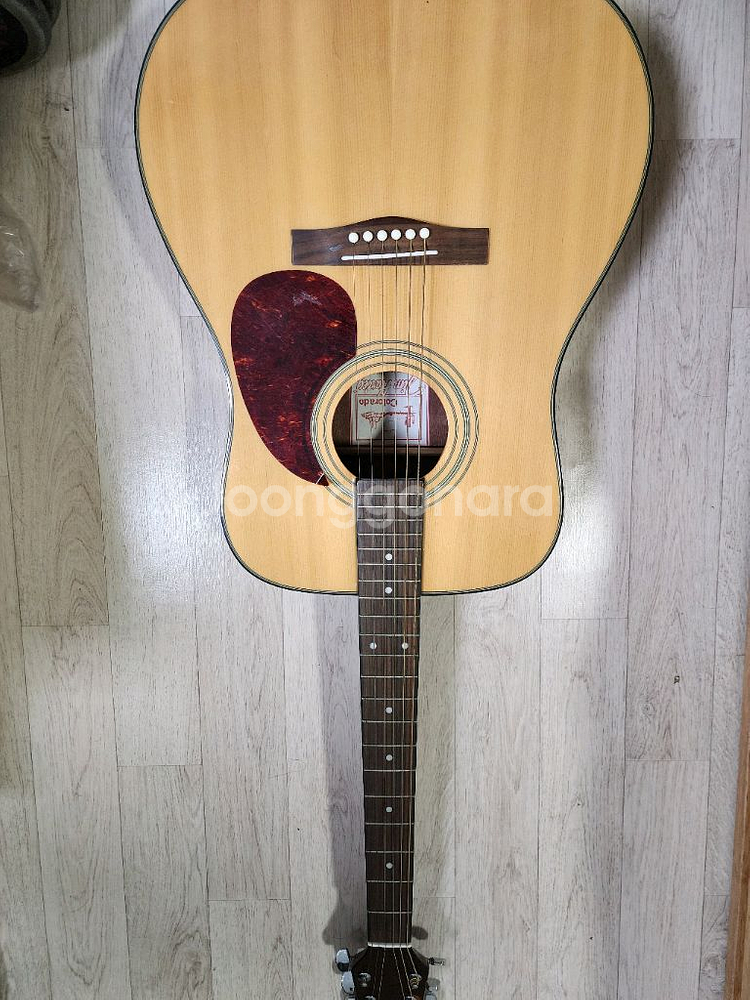 Jim Harley Colorado CR30/V7 | 중고나라 - 안심되는 중고거래