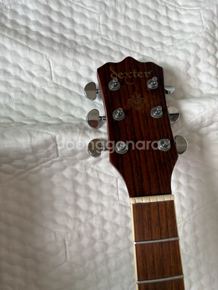 Dexter DD-15 통기타 | 중고나라 - 안심되는 중고거래