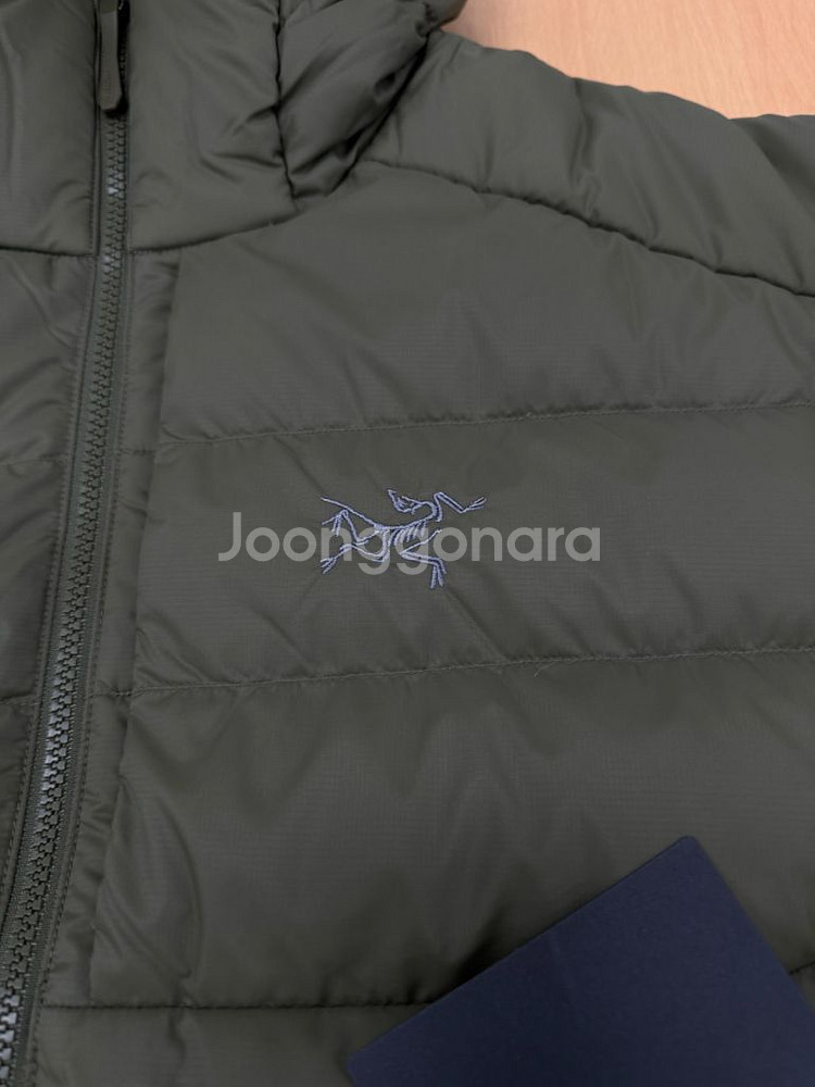 아크테릭스 토륨 후디 25FW 팝니다(새상품) | 중고나라 - 안심되는 중고거래