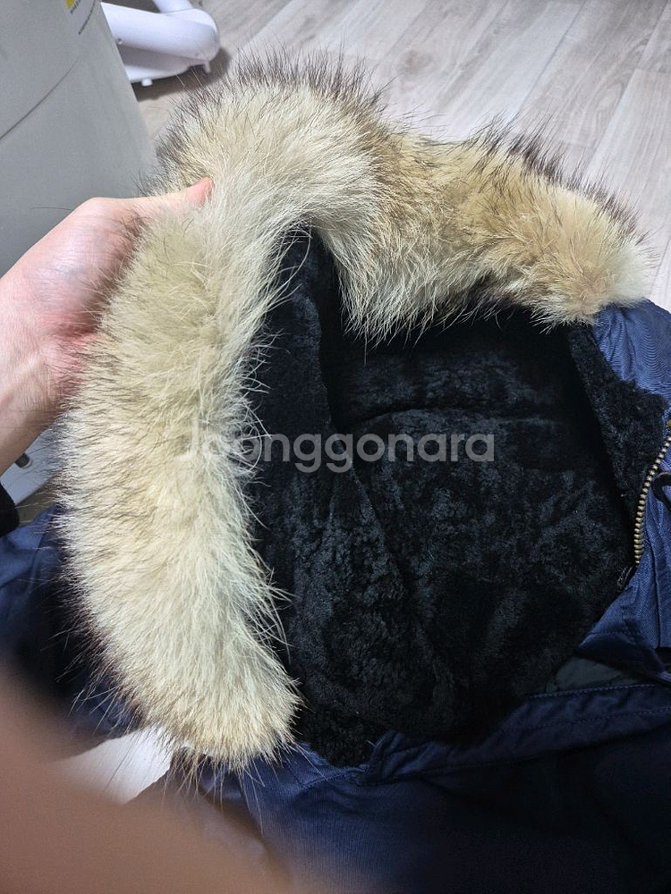 폴로 스포츠 N3B L | 중고나라 - 안심되는 중고거래