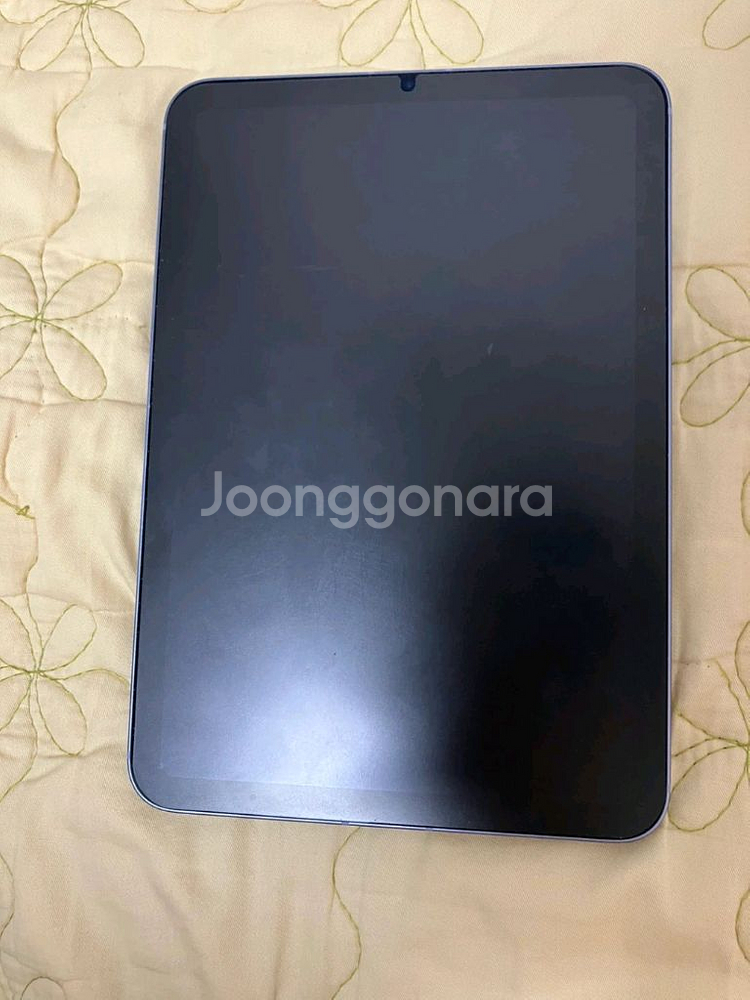 아이패드미니6 셀룰러 256기가 퍼플 | 중고나라 - 안심되는 중고거래