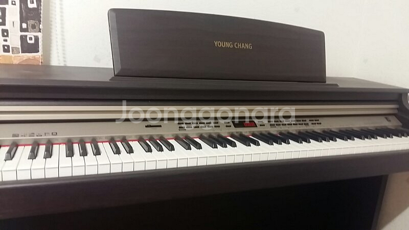영창 디지털 피아노-전주 서신동 | 중고나라 카페에서 운영하는 공식 사이트