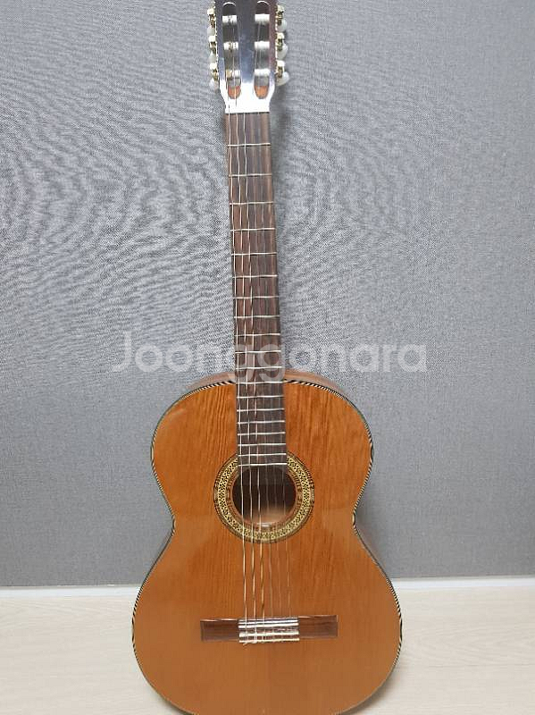 김영진 수제 클래식기타 팝니다 | 중고나라 카페에서 운영하는 공식 사이트
