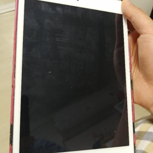 아이패드 미니 1 16GB WIFI | 애플 | 중고나라